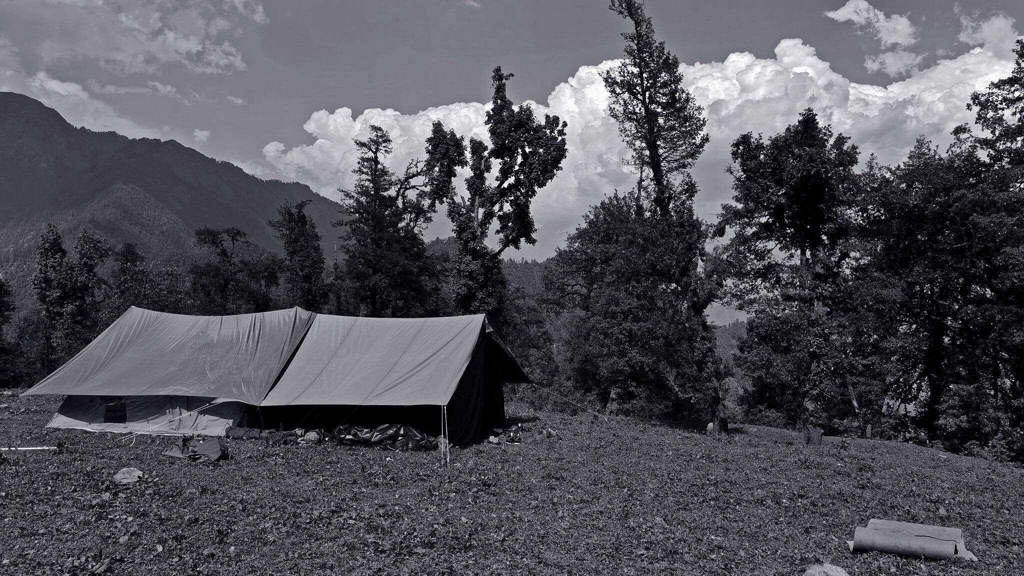 The Curse Of Nayata: A Horror Story Of The Himalayas - Masala Mug